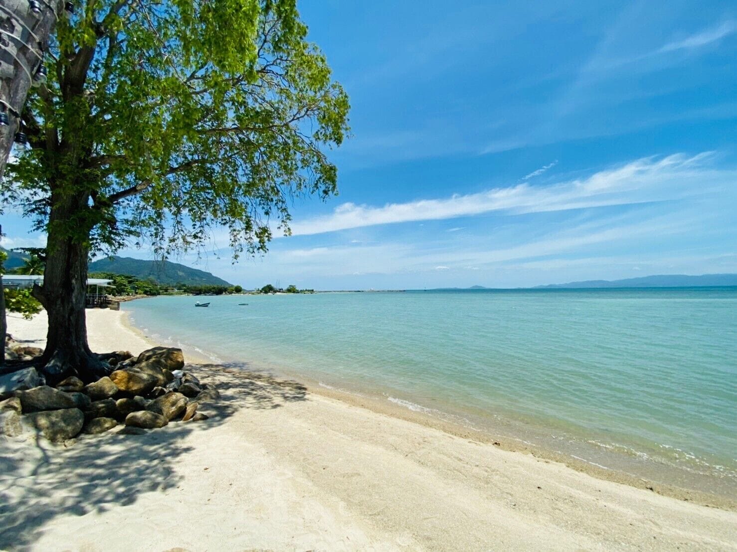 Uma praia com águas cristalinas, uma árvore e uma cadeia montanhosa ao longe.
