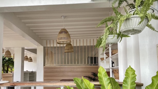 Um interior moderno com um banco de madeira, luminárias de vime penduradas e plantas em vasos.
