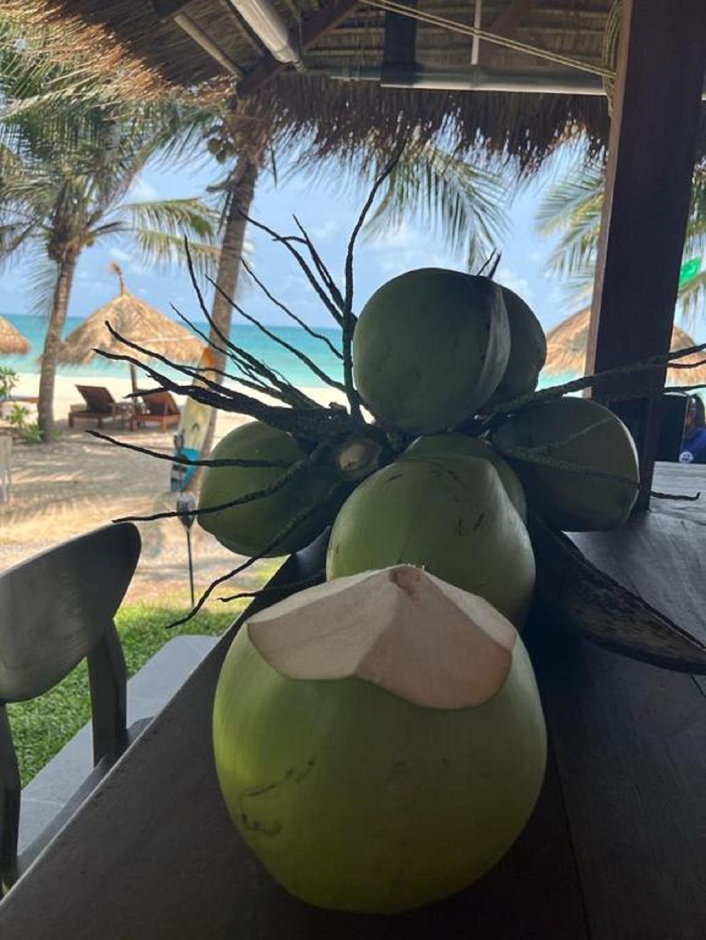 Uma mesa com cocos e vista para uma praia com palmeiras e guarda-sóis de palha.