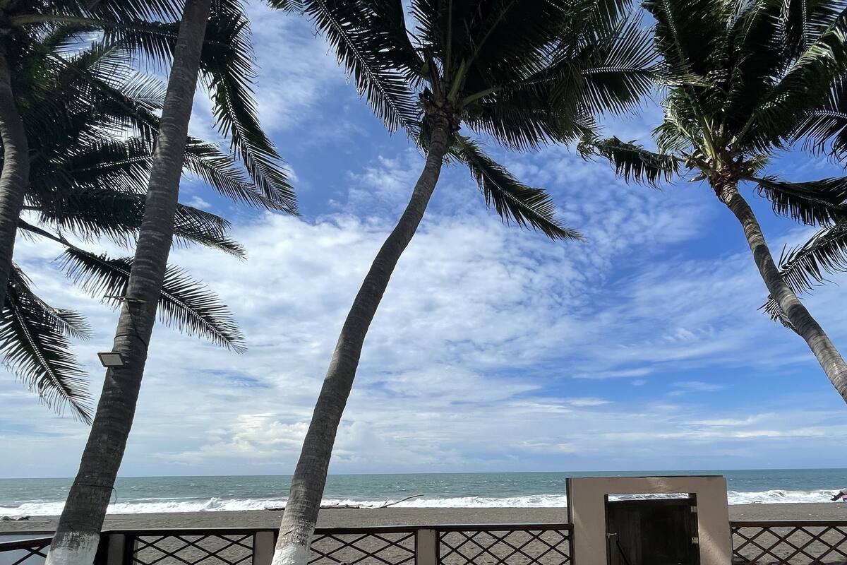 Um pátio à beira-mar com palmeiras, um caminho de azulejos e vista para o oceano.