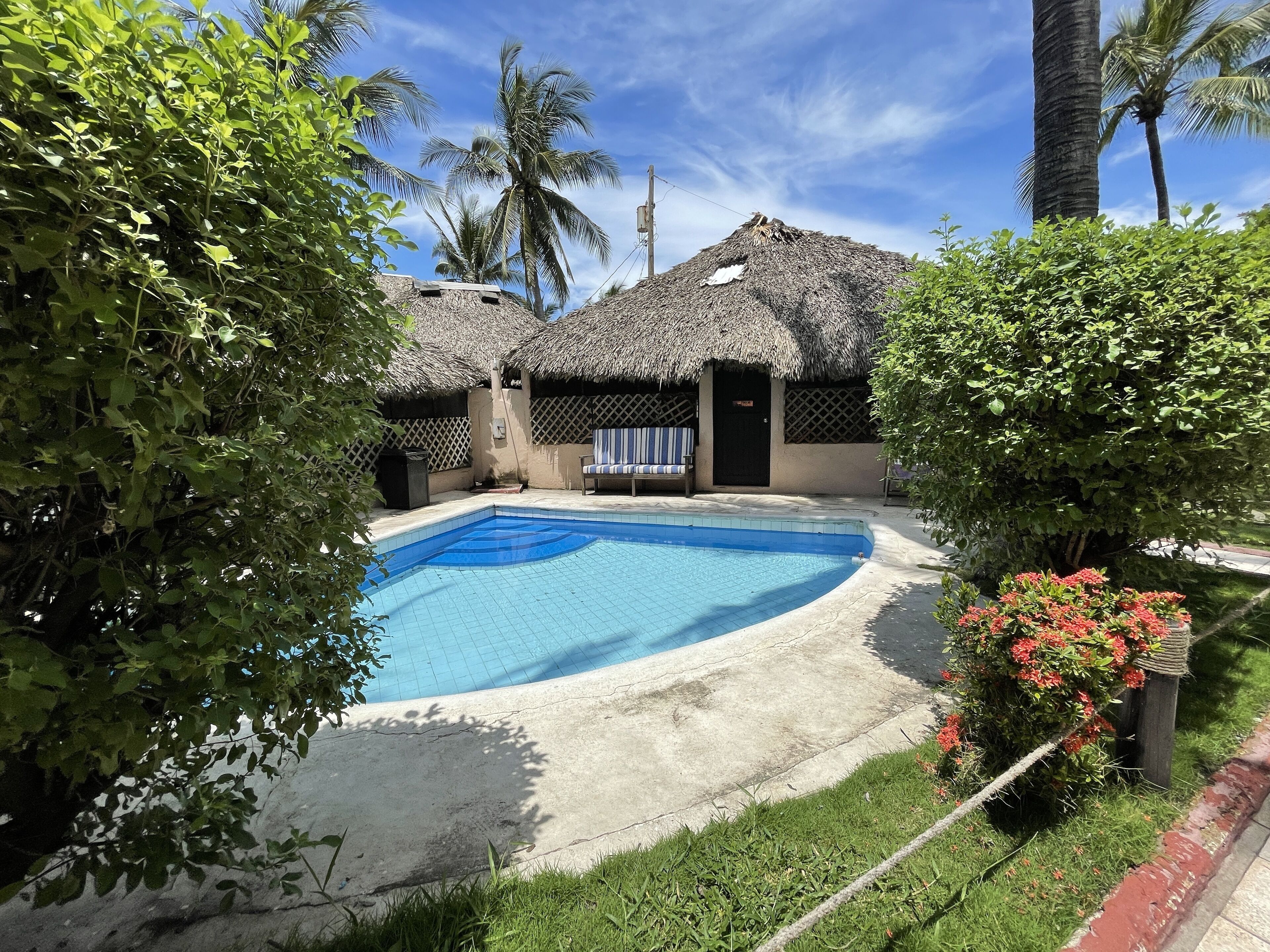 Piscina com estrutura de palha, rodeada por vegetação e palmeiras.