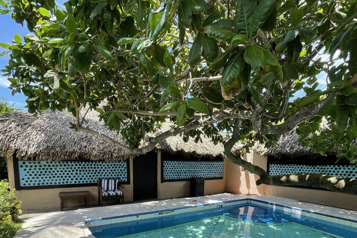 Piscina com revestimento de azulejos, estrutura coberta com palha e um banco.