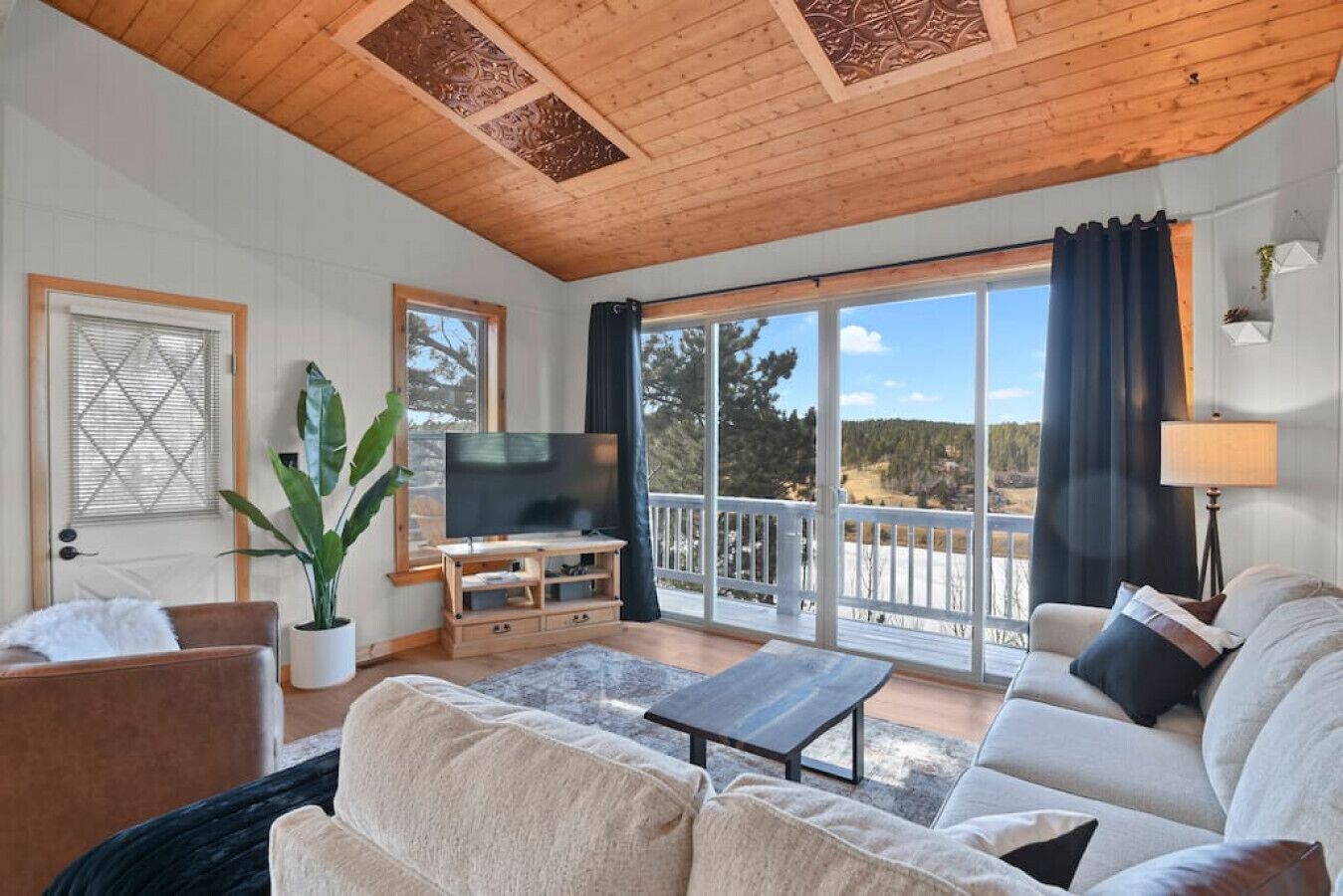 Romantic Lakefront Cabin, Hot Tub, Views! - Woodland Park, CO