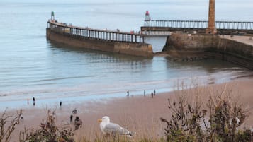 Casa de Campo | Praia