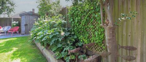 Terraço/pátio interior