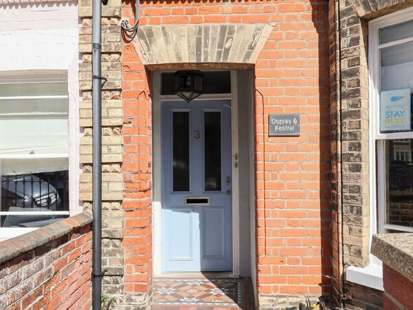 Kestrel - Walberswick
