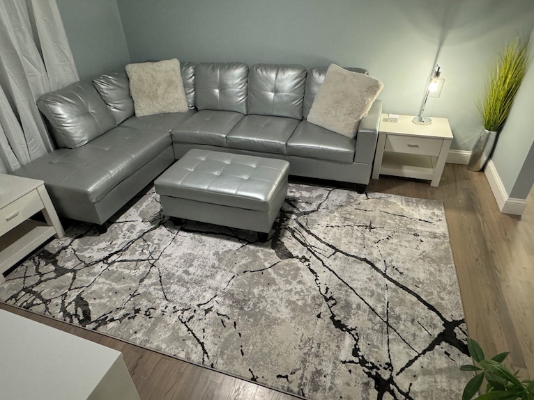 Fully Modern 3 Bedroom 65"smart Tvs Cable Bluetooth Speakers Etc - Long Island, NY