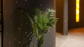 Sauna seca, banheira de hidromassagem, sauna a vapor