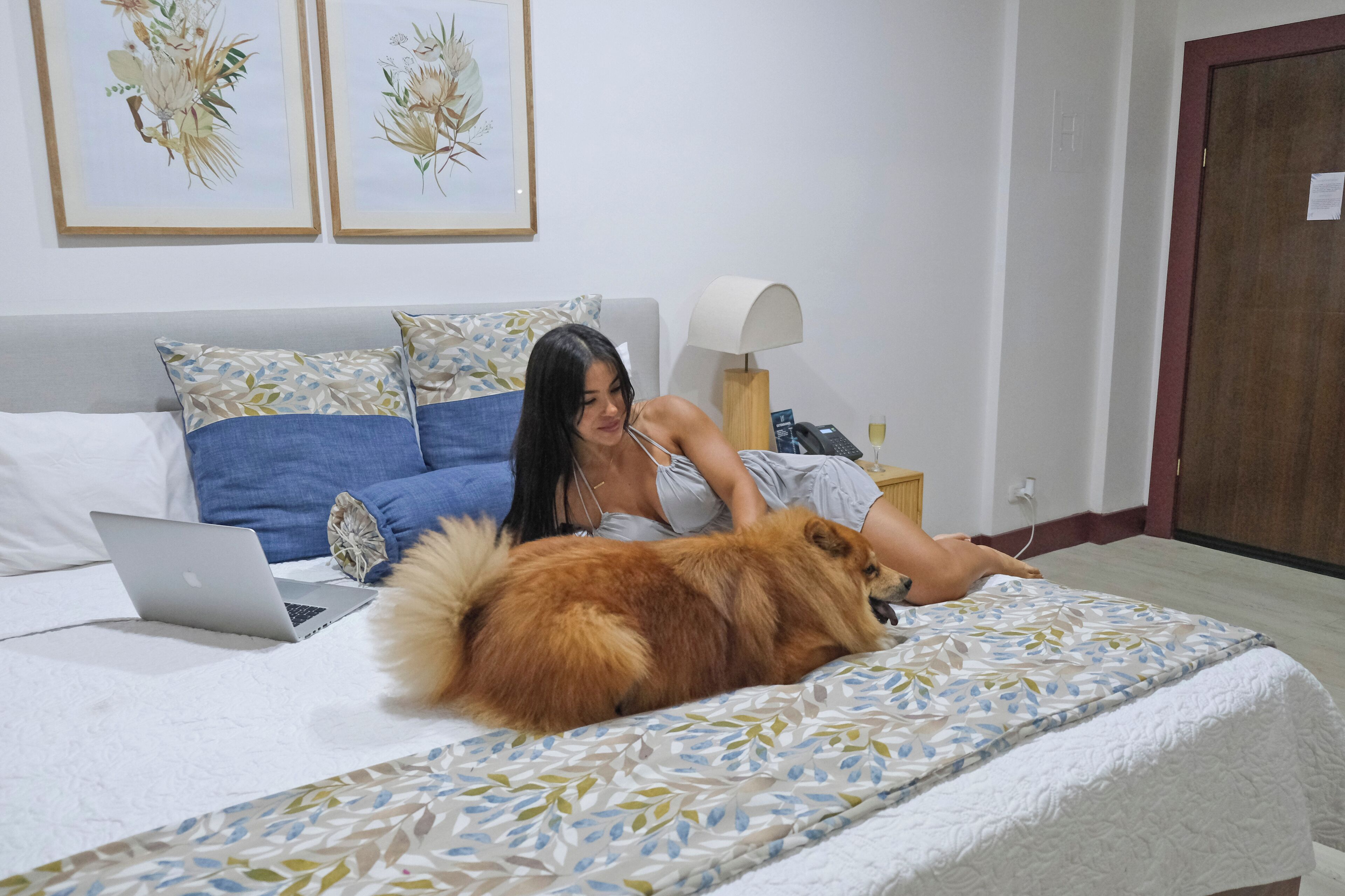 Uma pessoa deitada em uma cama com um laptop e um cachorro, em um quarto com uma cama, travesseiros, um abajur e uma porta.