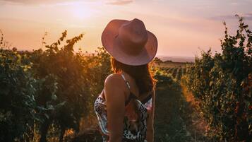Uma pessoa de chapéu e vestido estampado em um campo, com o pôr do sol ao fundo.