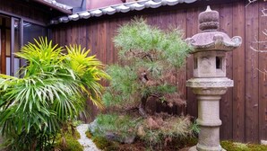 Um jardim japonês tradicional com um candeeiro de pedra, pinheiros e uma cerca de madeira.