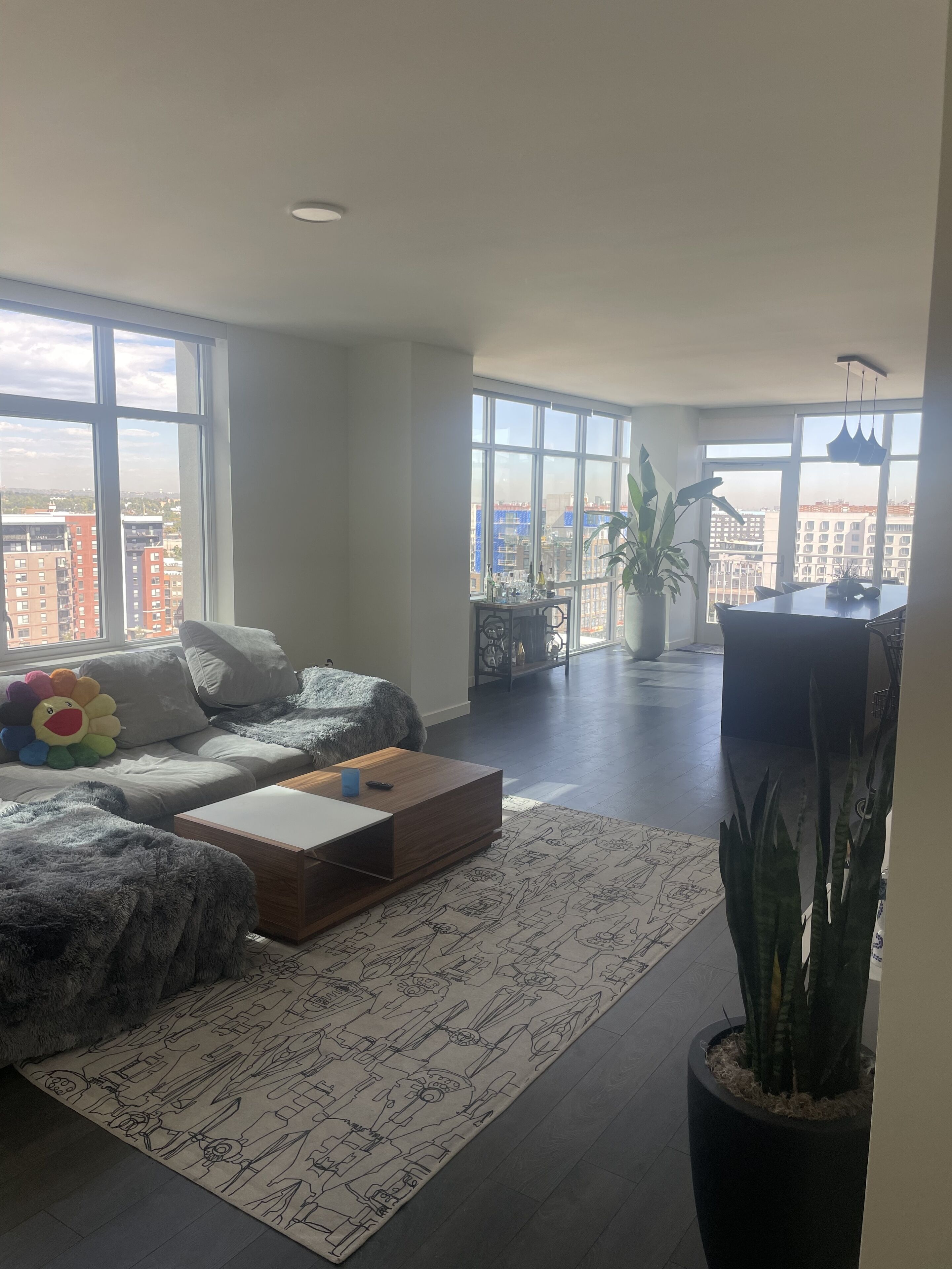 Luxury Penthouse Downtown Denver - Westminster, CO