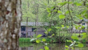 Uma cabana com vista para um lago, rodeada por árvores e vegetação.