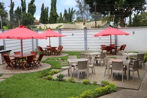 Arborismo (atividade em equipa)