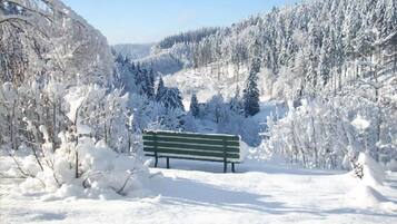 Um banco coberto de neve em uma área arborizada.