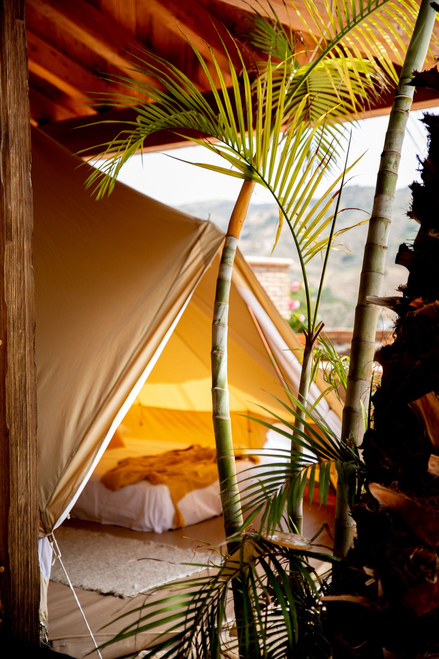 Glamping Near The Beach In Rincón De La Victoria - Rincón de la Victoria