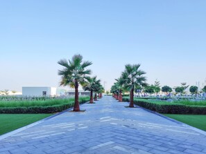 Apartamento | 1 quarto 