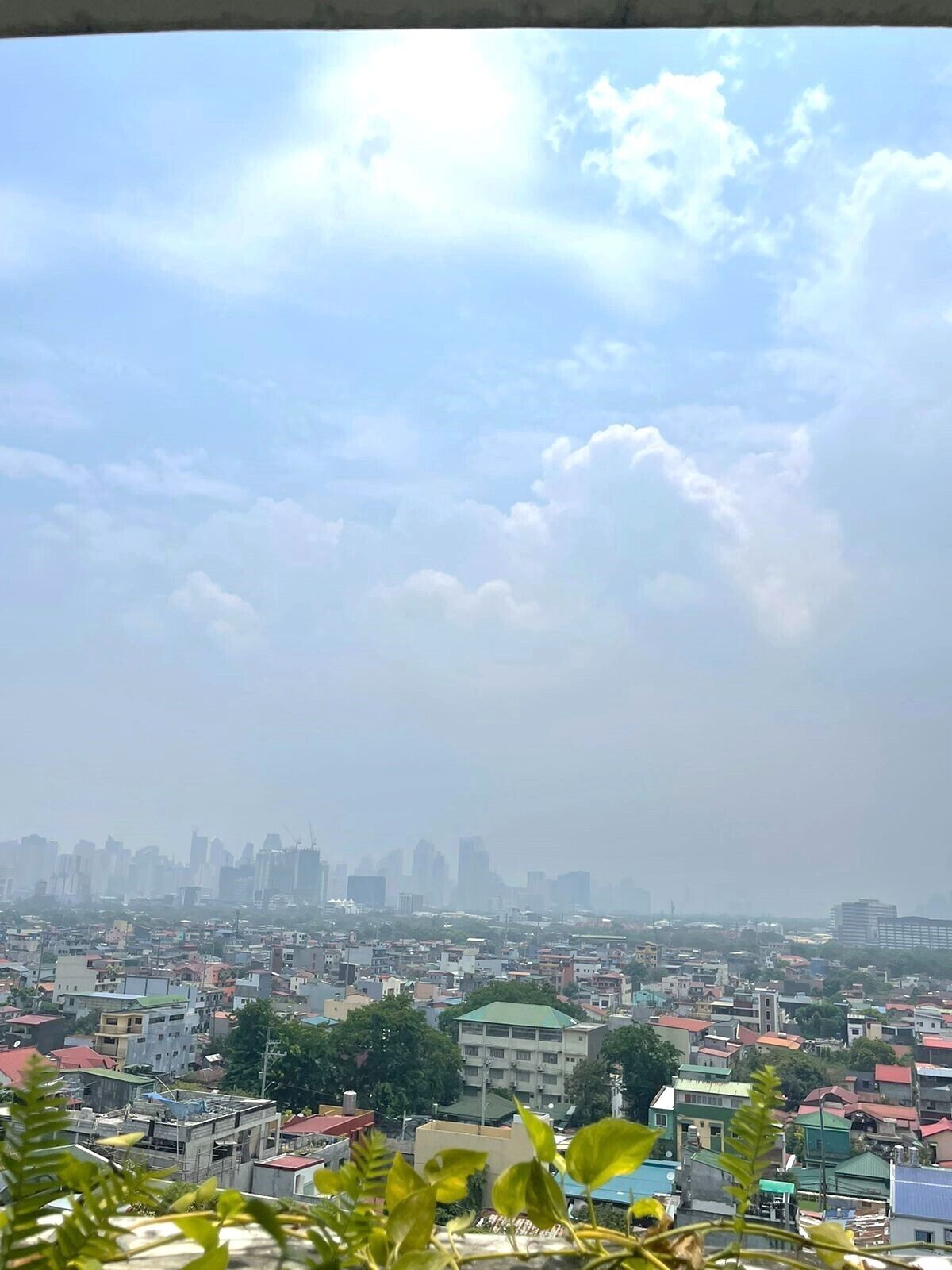 Paisagem urbana com edifícios residenciais e comerciais, céu claro e vegetação ao primeiro plano.
