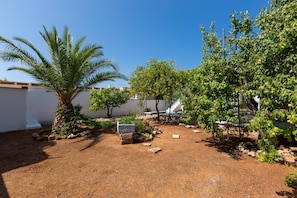 Área da propriedade
