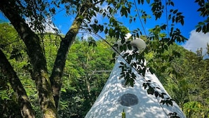 Uma estrutura em forma de cúpula geodésica branca, com uma porta de madeira, cercada por vegetação exuberante e árvores.