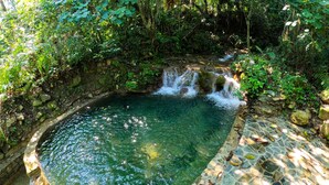 Uma piscina clara, com revestimento de pedra e um efeito cascata, cercada por vegetação exuberante.