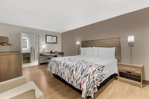 Quarto Superior, 1 cama king-size, acessível, não fumadores | Com mobília individualizada, secretária