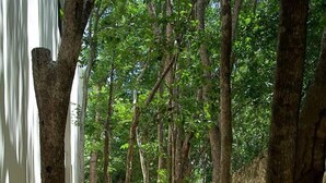 Área da propriedade