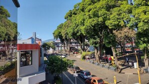 Vista da rua com carros, árvores e edifícios.