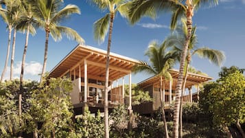 Casa na árvore, 1 cama King (Tree Top King Hale) | Roupas de cama de algodão egípcio, roupas de cama premium