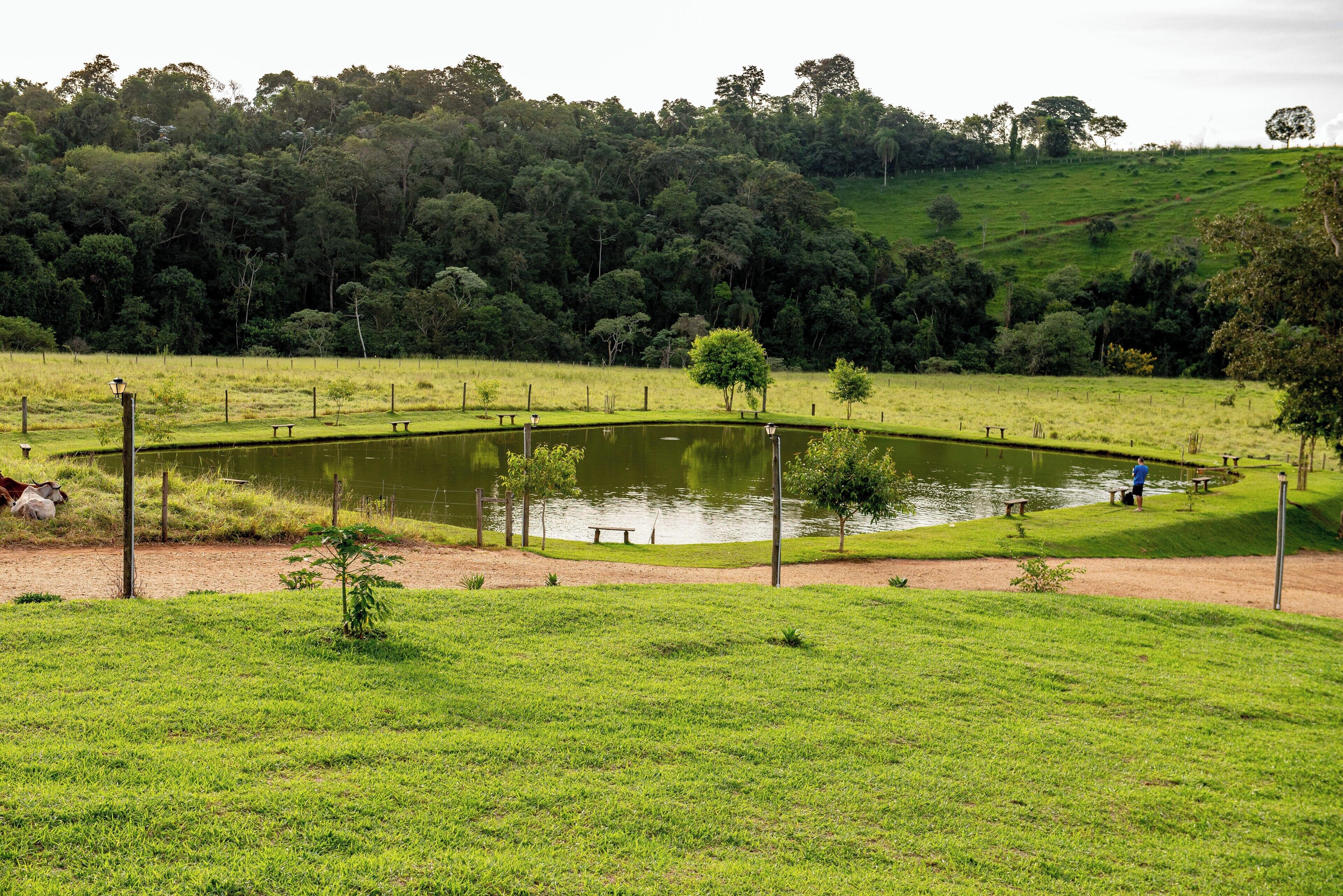 Um parque tranquilo com lago, bancos e área gramada.