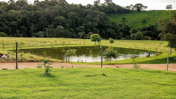 Um parque tranquilo com lago, bancos e área gramada.