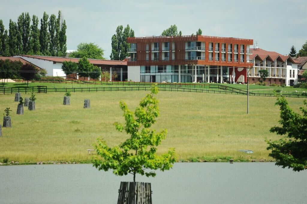 Um edifício moderno com telhado plano e grandes janelas, cercado por uma área gramada e um corpo d'água.
