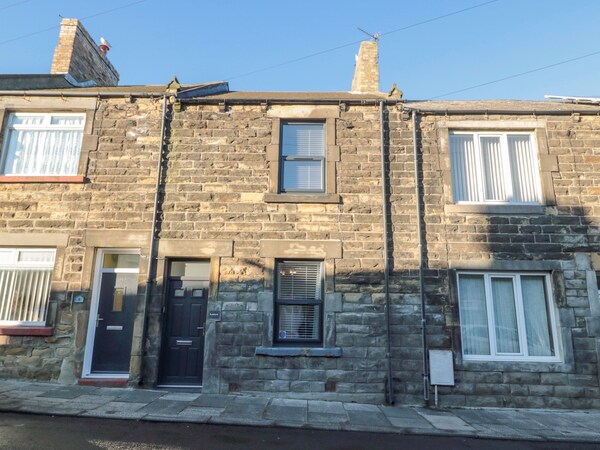 Redshank - Northumberland