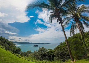 Paisagem tropical com palmeira, vegetação exuberante e vista para o mar e ilhas ao longe.