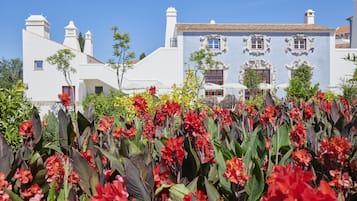 Jardim