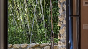 Uma banheira em um banheiro com parede de pedra e plantas de bambu do lado de fora.