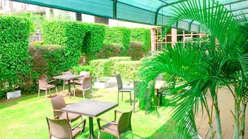 Jardim