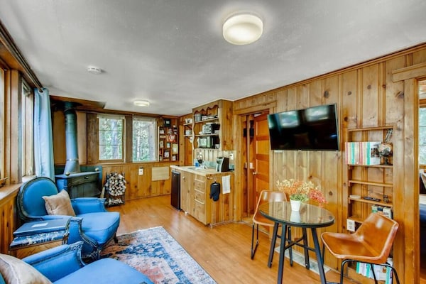 Granite · Epiphany Pines Waterfront Work & Play Cabin - Idaho Springs, CO