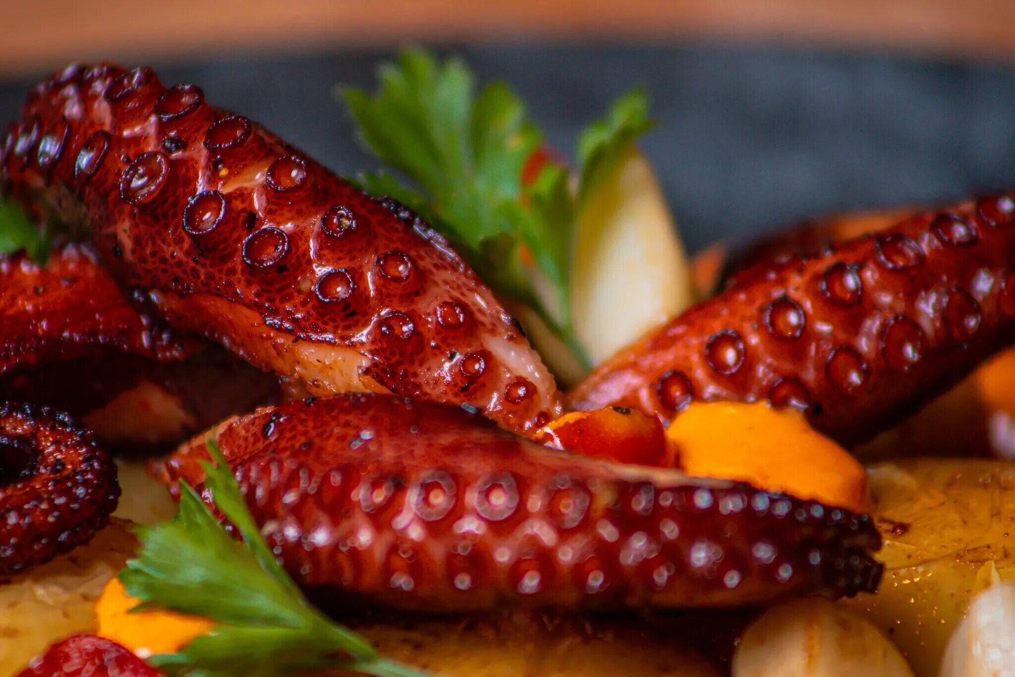 Close-up de polvo grelhado com textura chamuscada, guarnecido com salsa.