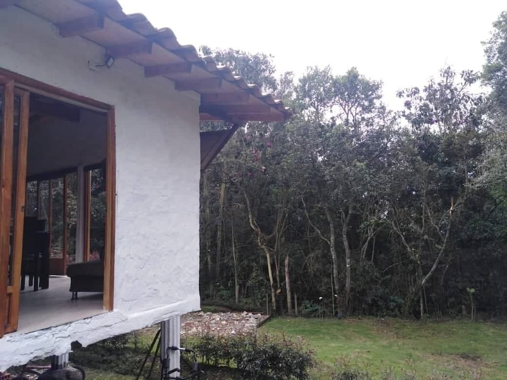 Alto Palmas 2.0 -