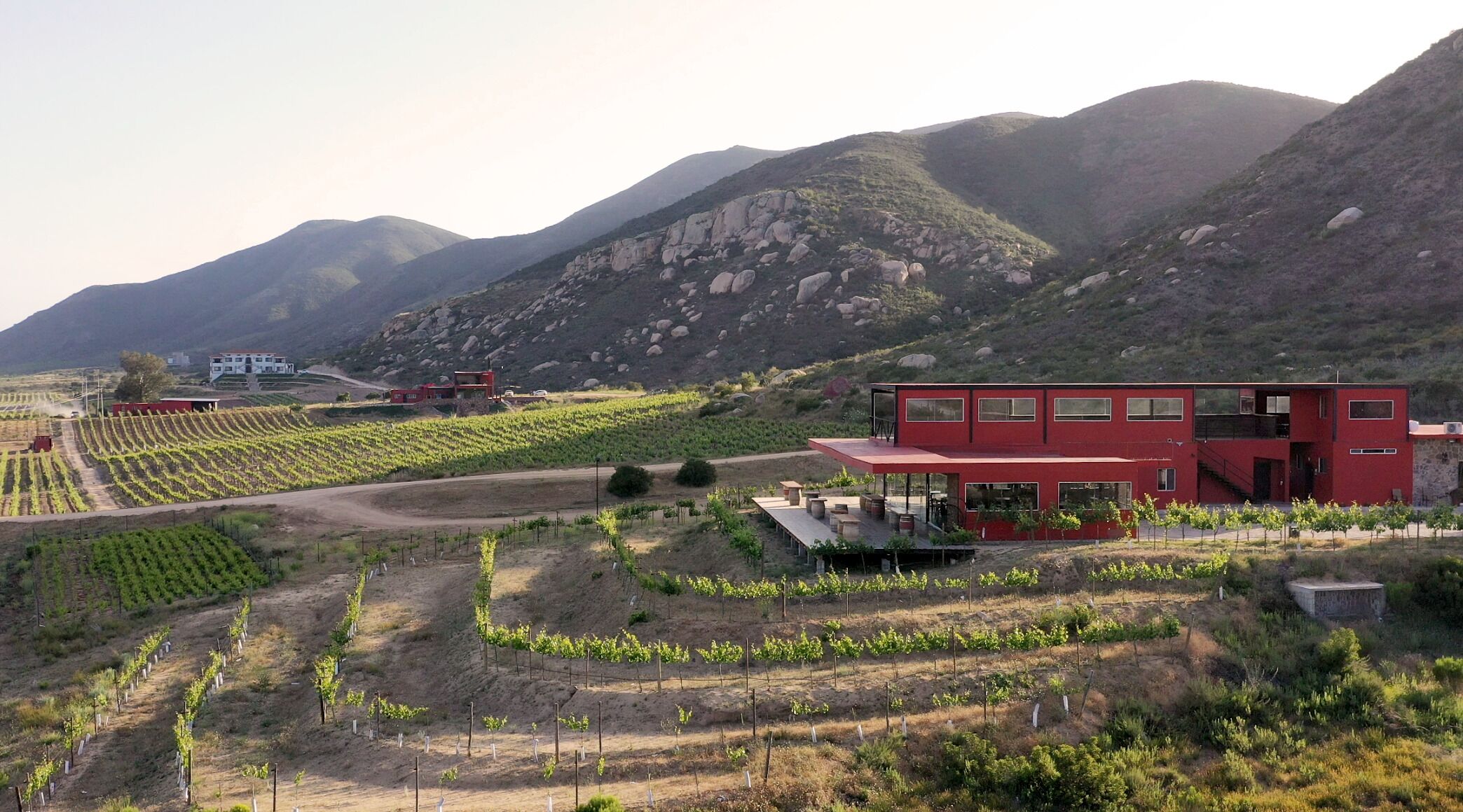 Um edifício vermelho com telhado plano e várias janelas, rodeado por fileiras de vinhas e montanhas ao fundo.