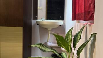 Uma planta em vaso com folhas variegadas sobre uma superfície de madeira, uma pia branca e uma cortina vermelha num banheiro.