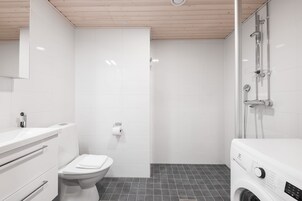Secador de cabelo, toalhas de banho, papel higiênico 