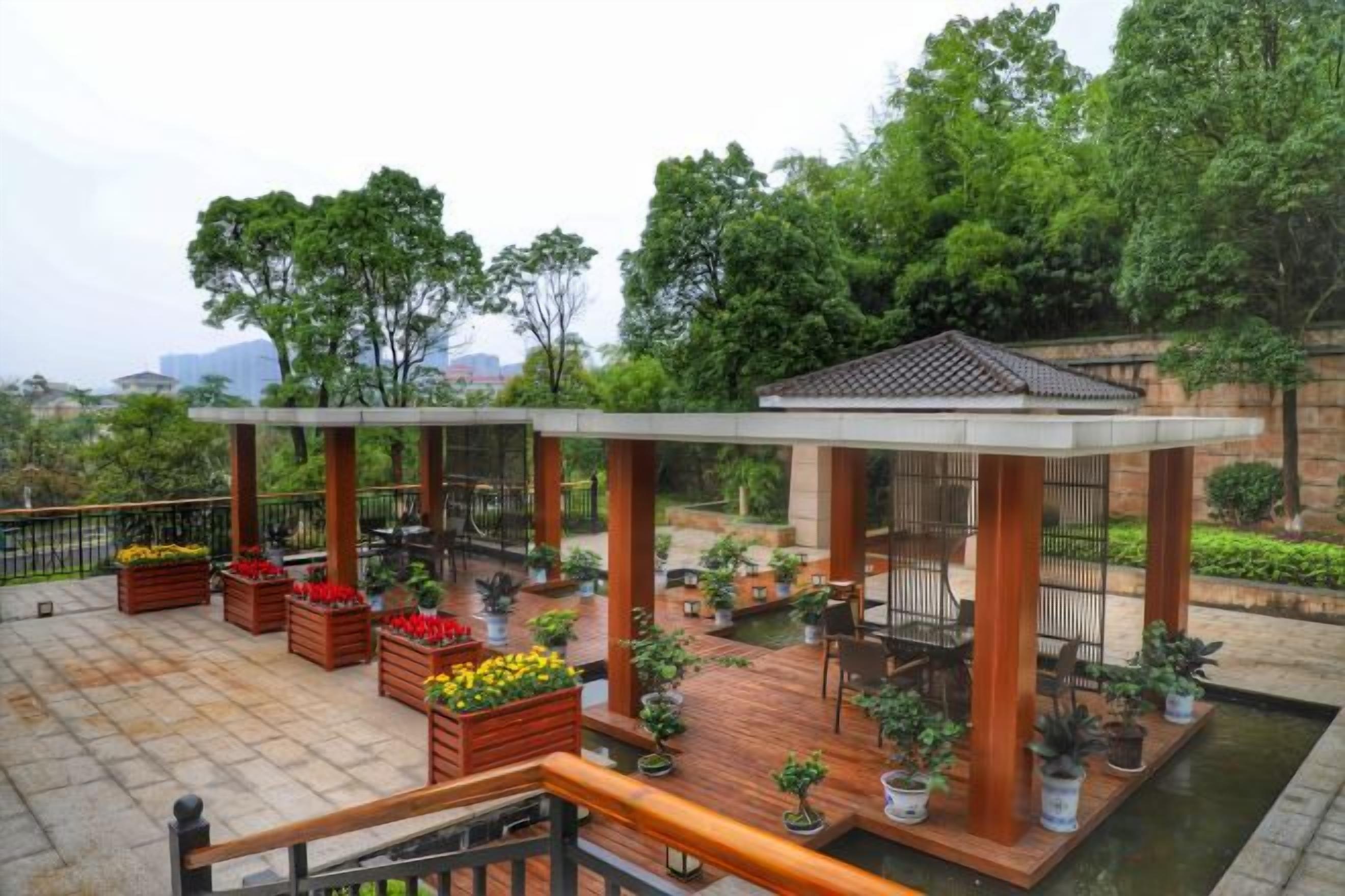 Um jardim no terraço com pérgola de madeira, plantas em vasos e um pequeno espelho d'água.
