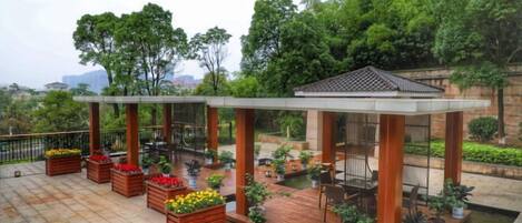 Um jardim no terraço com pérgola de madeira, plantas em vasos e um pequeno espelho d'água.