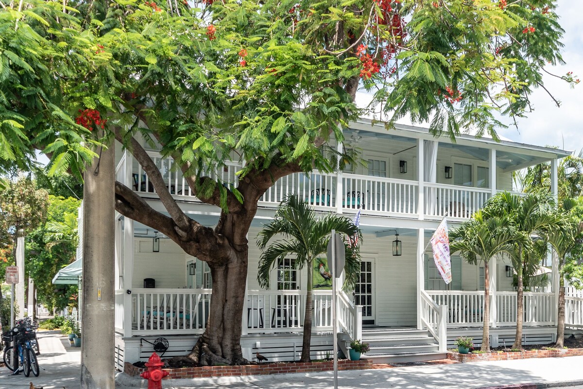 10+ Best Hotels In Key West For Spring Break Vacation