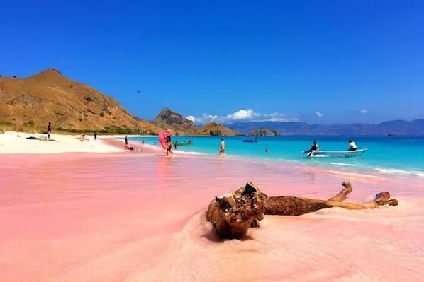 Perto da praia