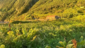 Uma casa rústica rodeada por vegetação exuberante e montanhas.