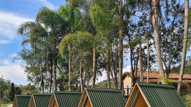 Fileira de cabanas em formato de A com mobiliário de madeira, situada numa área gramada com árvores ao fundo.