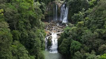 Uma cascata rodeada por uma floresta densa.